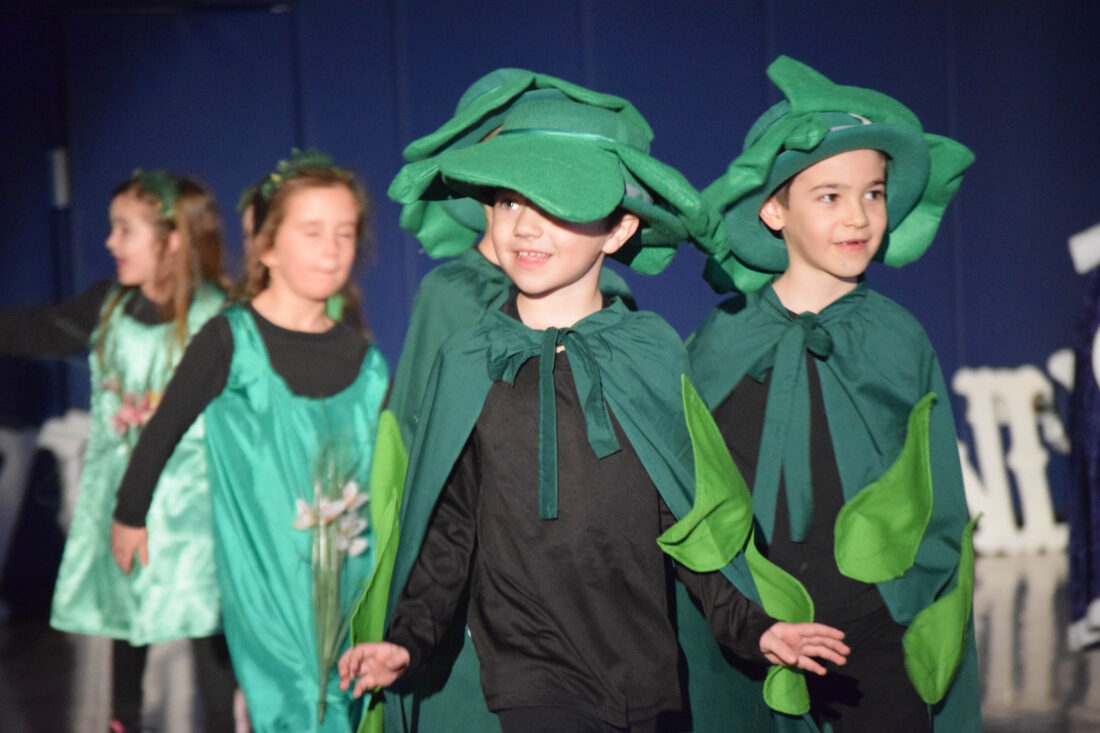 Lake Placid crowns Carnival king, queen | News, Sports, Jobs ...